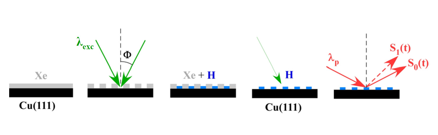 Classical and quantum diffusion of adsorbates on solids